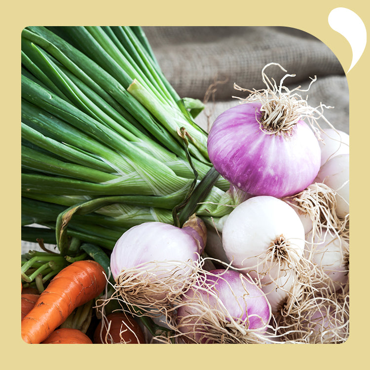 Learn About Root Vegetable Features and Benefits (Plus Root Vegetable ...